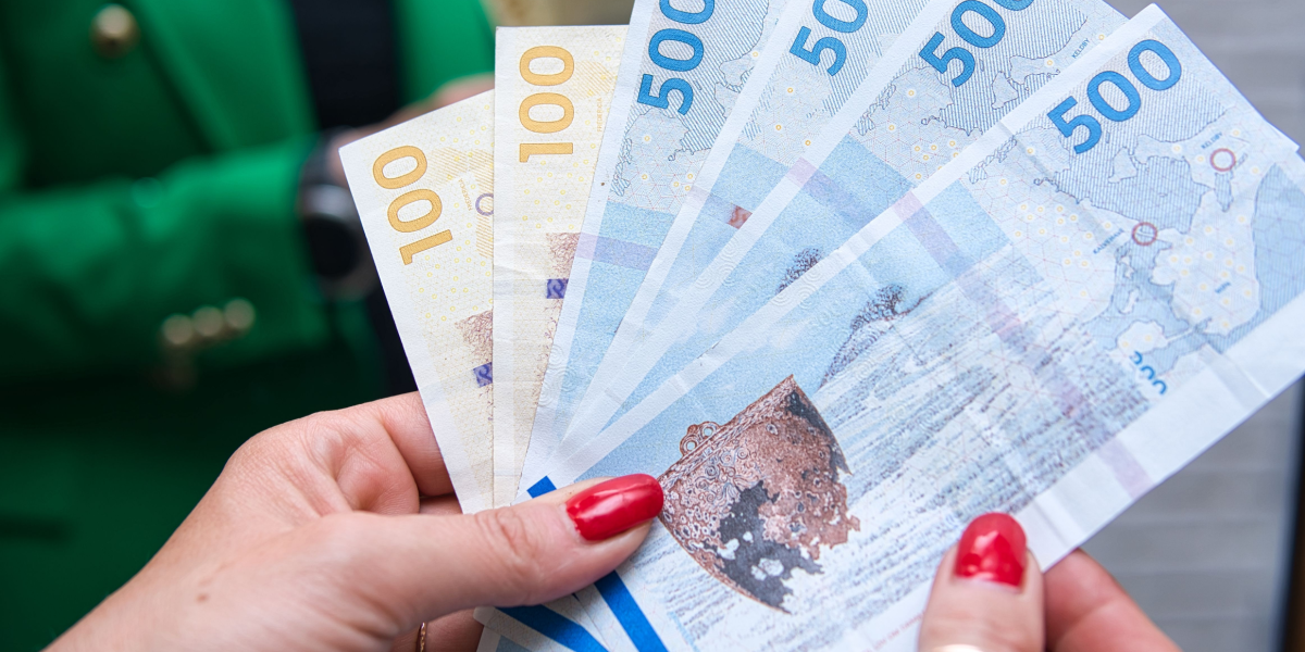 PensionDanmark: Så stort var investeringsafkastet for medlemmerne i 2024